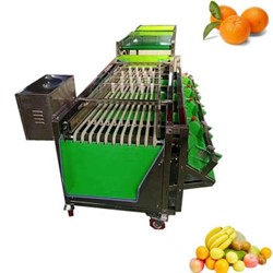Good Quality FRUIT&VEGETABLE PROCESSING SORTING WASHING MACHINE Potato ...